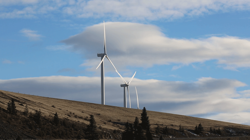 FERC Filings | Systrends