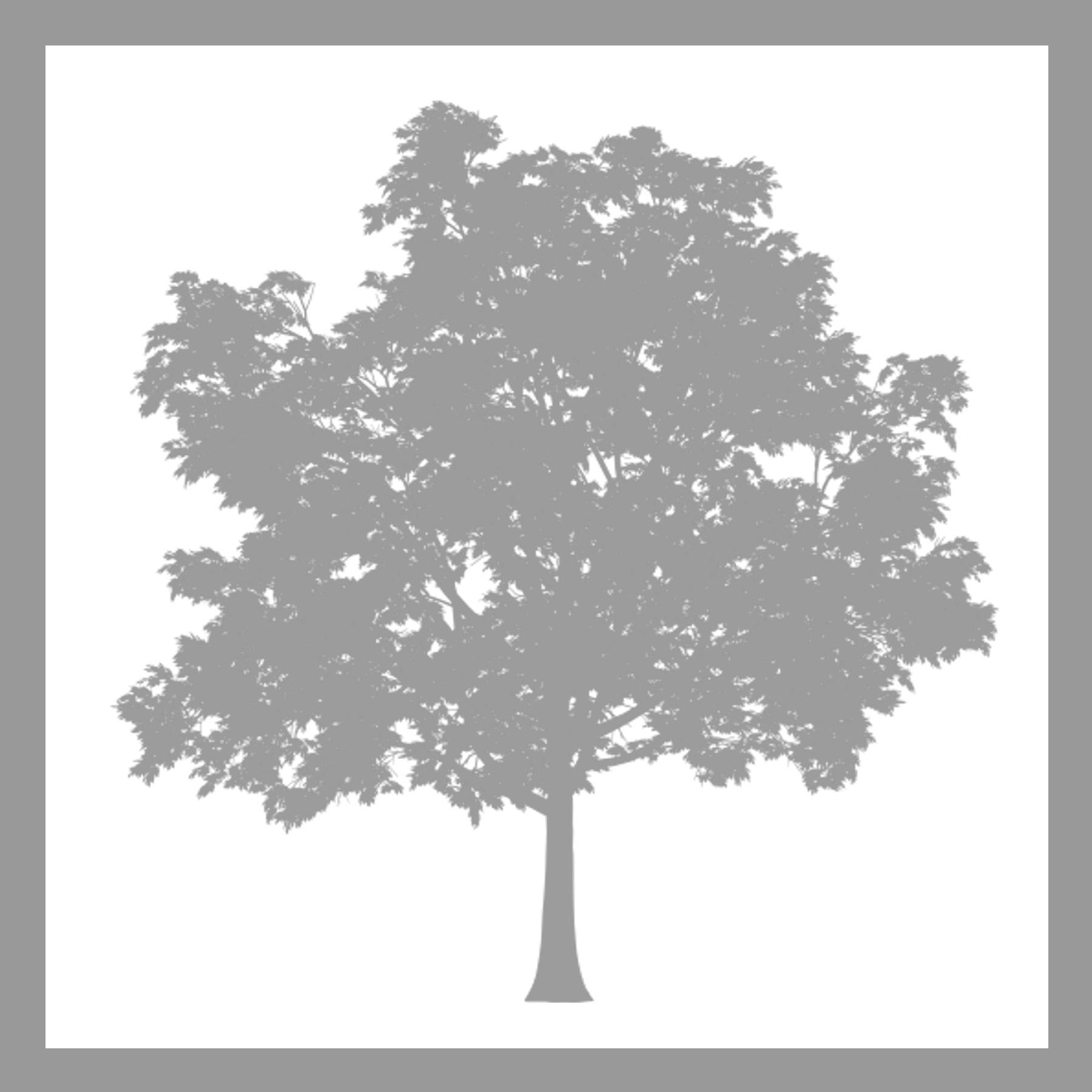 home3 | feature-films