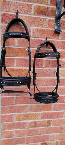 Silver studded bridles | TRANSCEND
