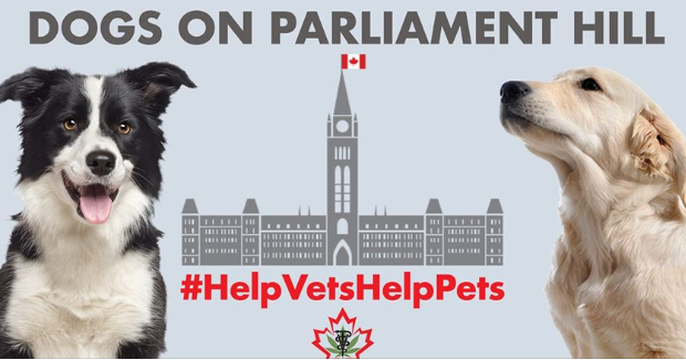Dogs on Parliament Hill