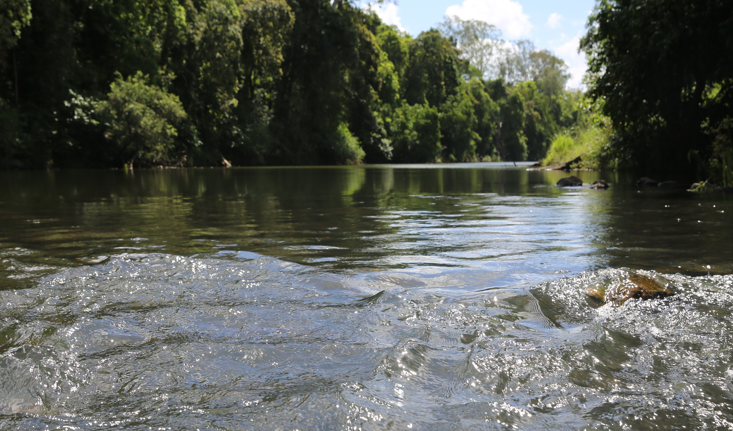 Imbil's walks, trails & water sports | Sunshine estate | Queensland