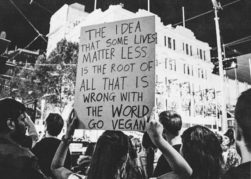 The art of sustainable, effective activism