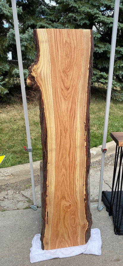 Live Edge Slab | Blessed Roots