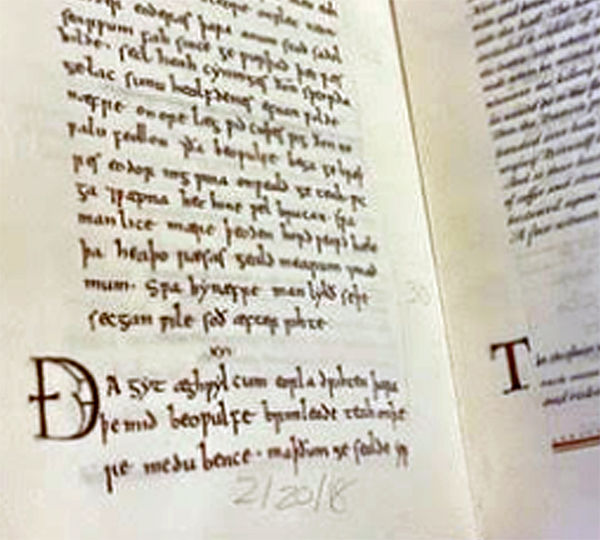 Lettering the Beowulf Manuscript with Cheryl Jacobsen | Calligraphers Guild