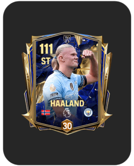 Erling Haaland
