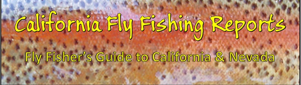California Fly Fishing Reports | stream reports