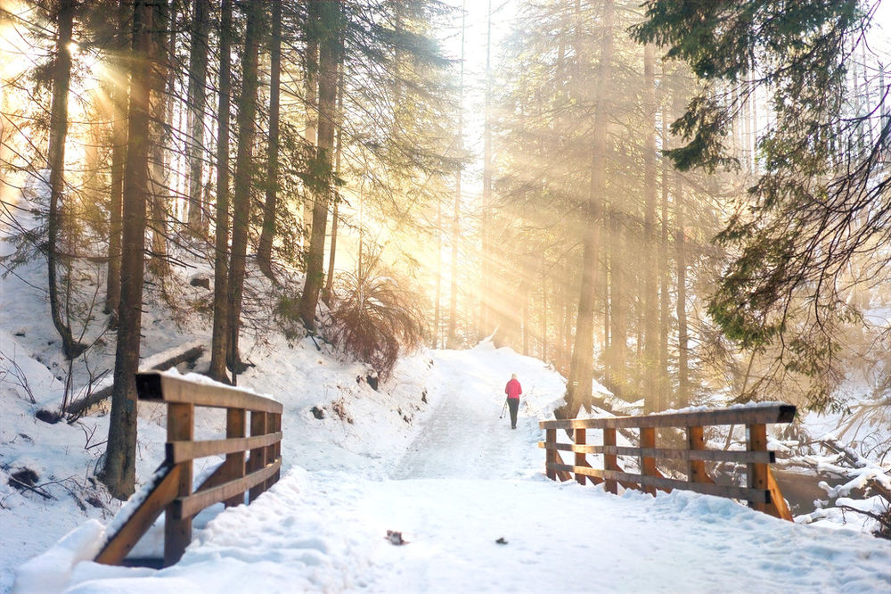 The Magnificent Morning