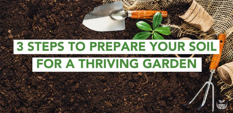 3 Steps to Prepare your Soil for a Thriving Garden