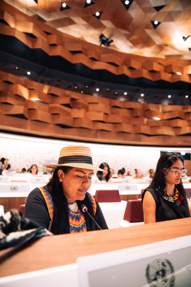 Overview of EMRIP (Expert Mechanism on the Rights of Indigenous Peoples ...