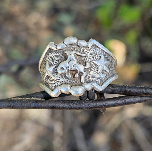 Let it Ride buckin' bronc ring | The Spirited Cowgirl