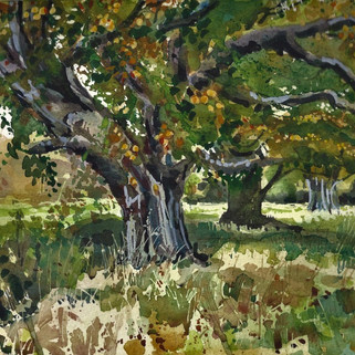 Paintings | Andrew Morgan Artist and Printmaker