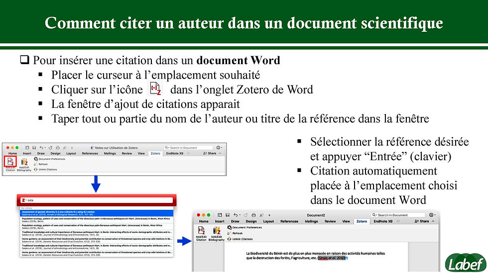 M2 comment citer un auteur et comment formater la liste des références ...