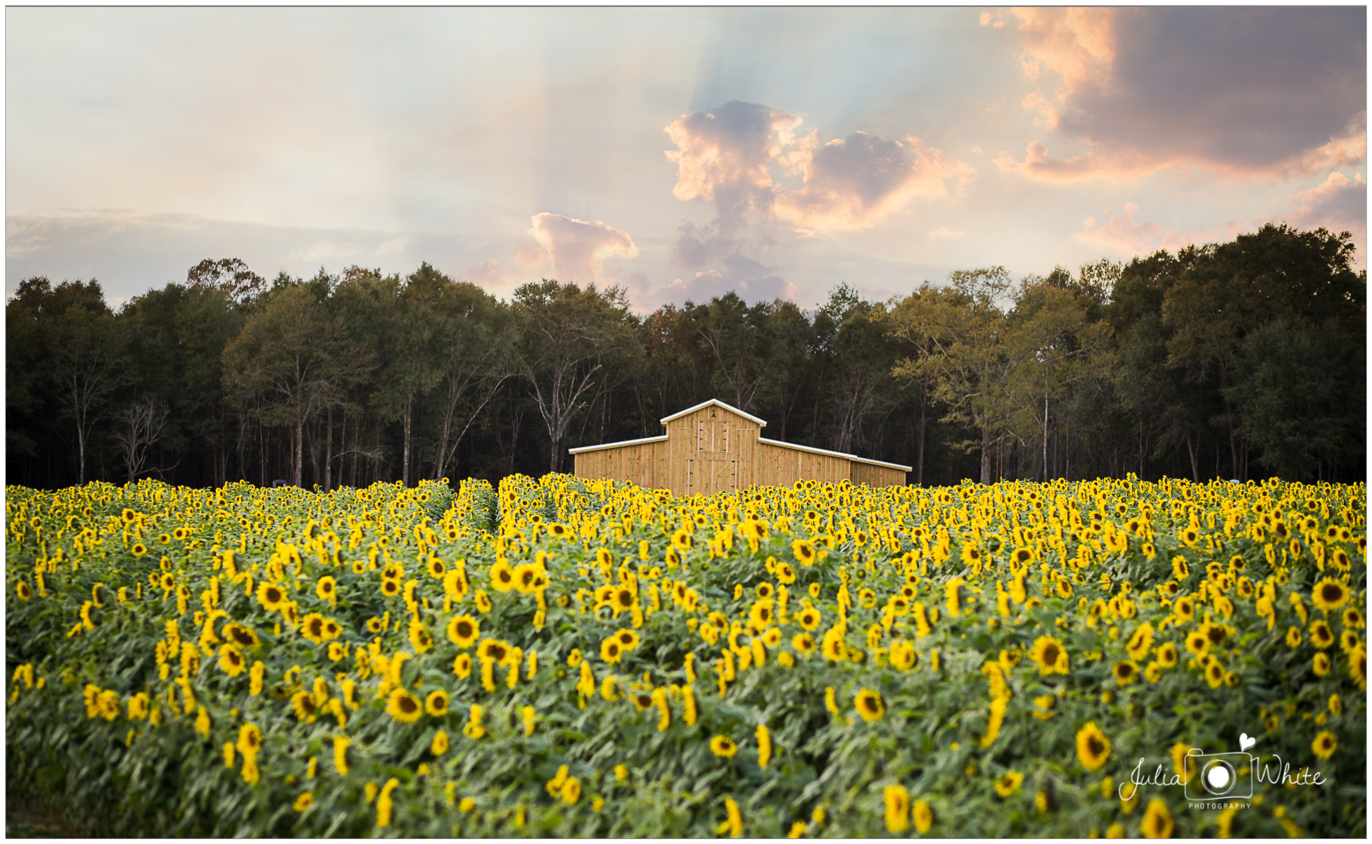 Heaven's Trail Event Barn