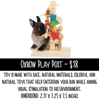 Online Hop Shop | ghrs