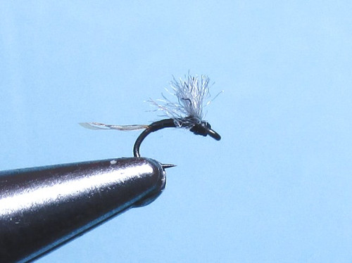 Micro Midge Dry | My Site