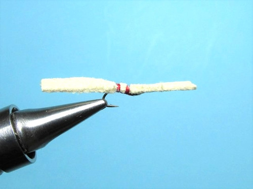 Chamois Worm | My Site