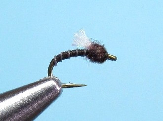 Top Secret Midge | My Site