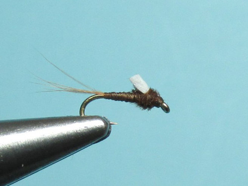 Foam Wing Baetis | My Site