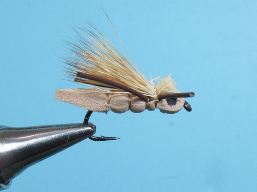 Charlie Boy Hopper | My Site