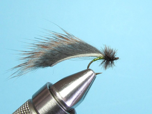 Landon Mayer's Mini Leech | My Site