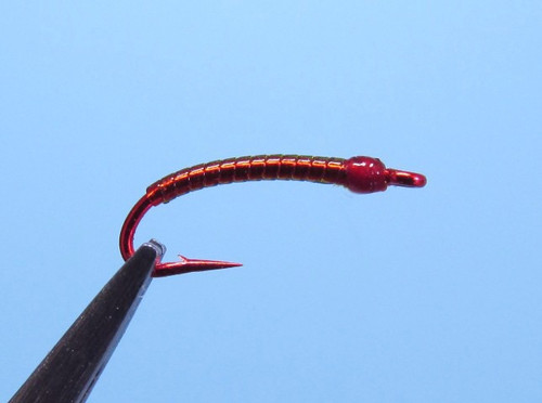 Red Annelid | My Site