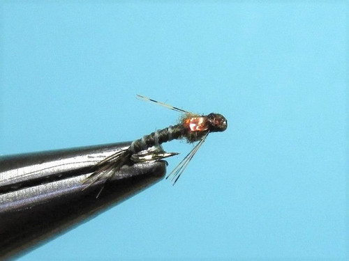 Flashback Baetis Emerger | My Site