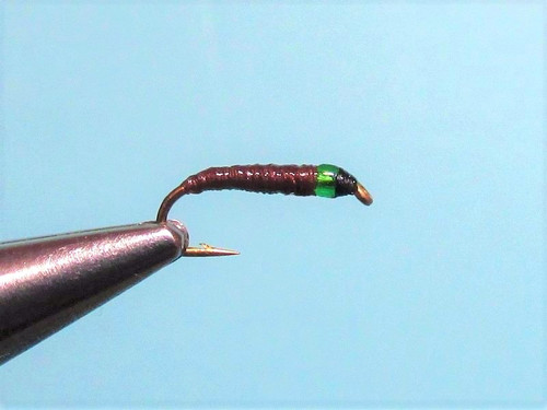 Cased Caddis | My Site