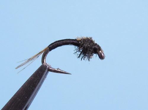 WD-40 Midge | My Site