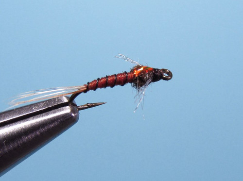 Flashback Baetis Nymph | My Site