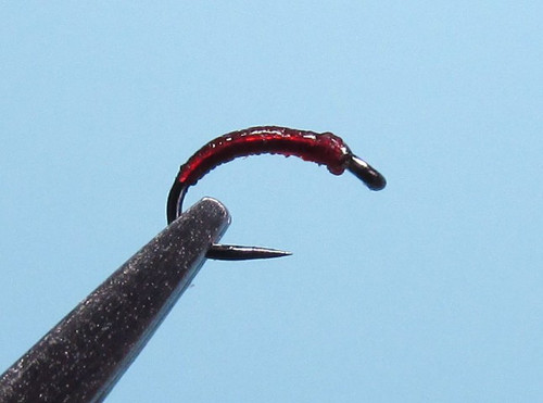 Micro Midge Larva | My Site