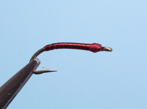 Blood Midge Larva | My Site