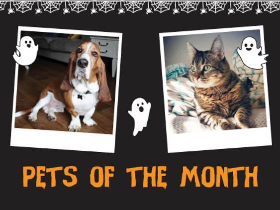 October Pets of The Month