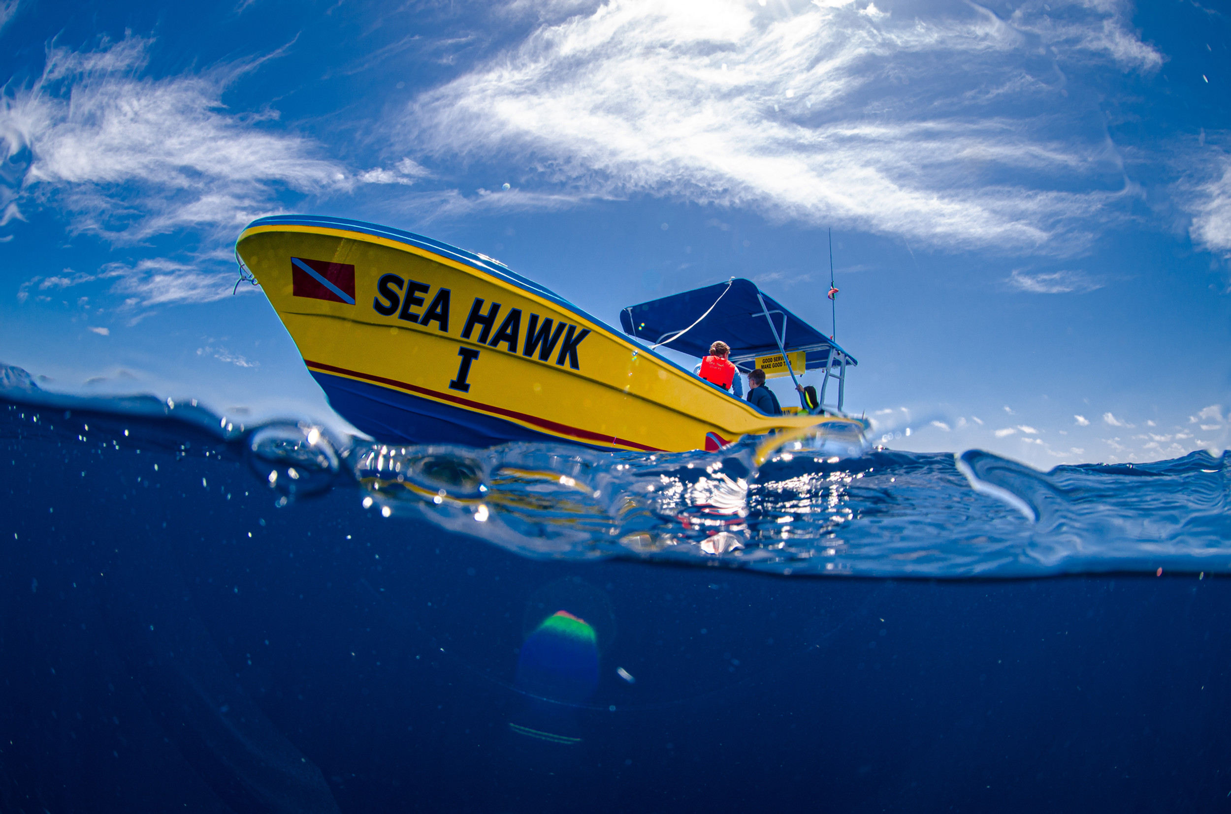 Sea Hawk Gallery | Sea Hawk Divers | Isla Mujeres