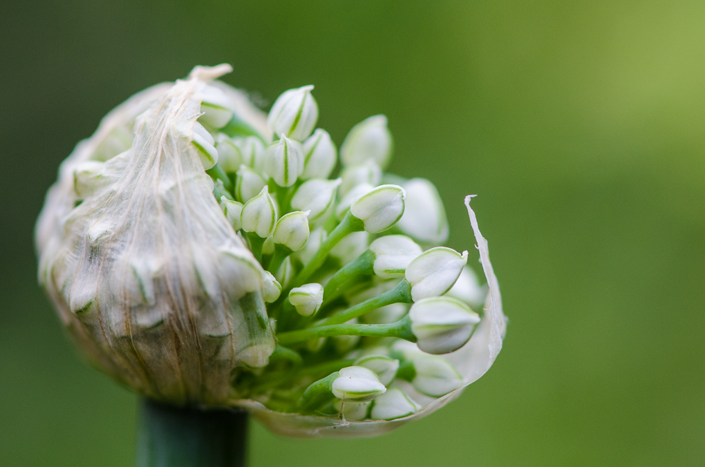 O'Toole Produce and Plastics