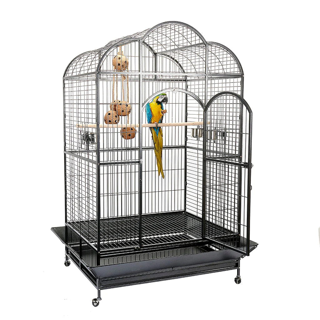 MyParrot - Parrot Cages, Food & Toys