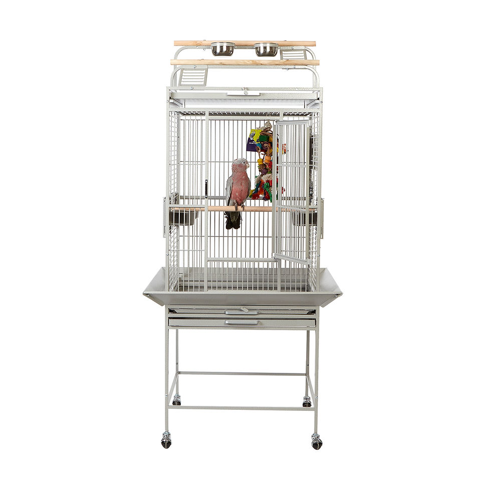 My Parrot - The Parrot Cage Experts