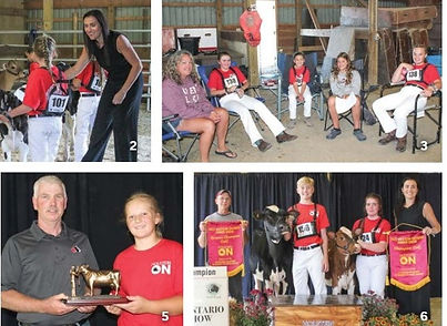 Junior Shows | Holstein Ontario