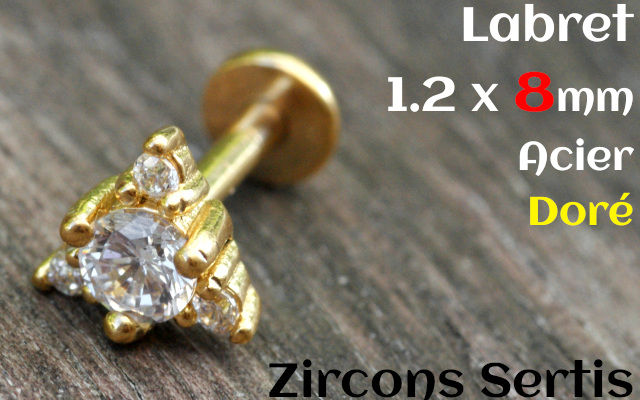 Piercing labret tous styles | Dyanco Piercing Lyon | France