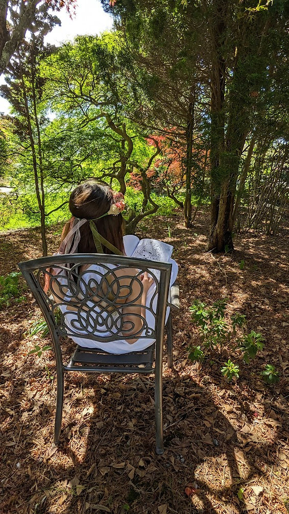 Cottage Core meets Wes Anderson: A Colorful Take on the Latest TikTok Trend