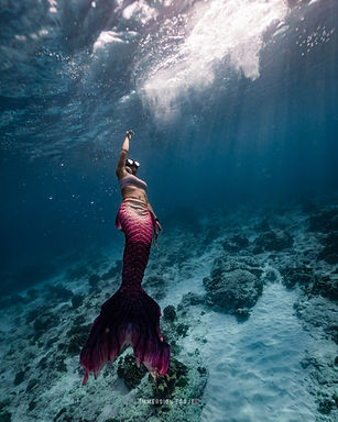 Diving | The Dive Journey Ltd, Scuba Diving, Freediving, Mermaid ...