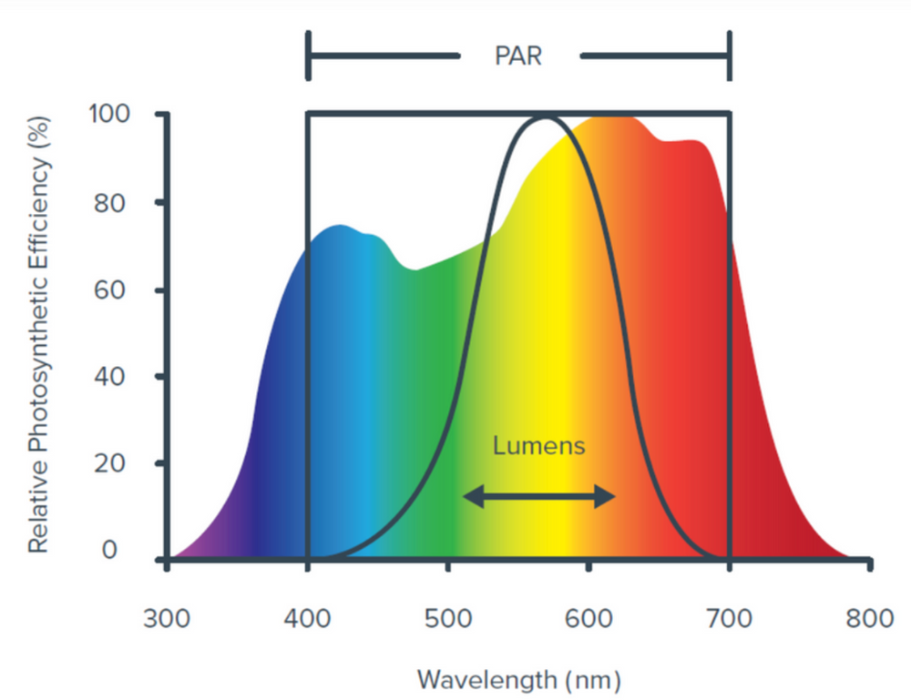 A Definitive Grow Light Study