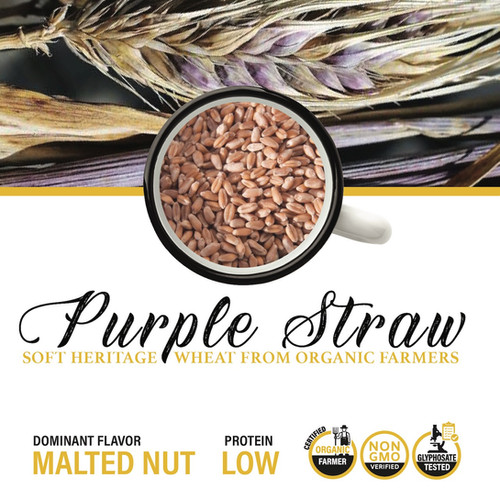 Heritage Purple Soft Wheat from Organic Farmers | Farmers' Storehouse