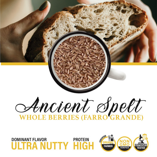Ancient Spelt Berries from Organic Farmers | Farmers' Storehouse