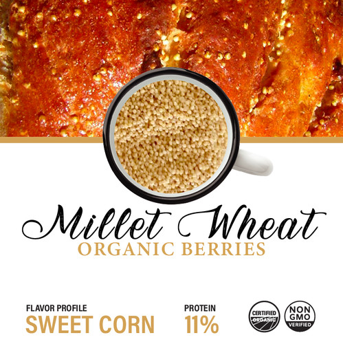 Organic Millet Berries | Farmers Storehouse