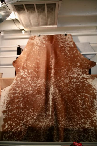 Cracker Cattle Premium Hide | Farmers' Storehouse