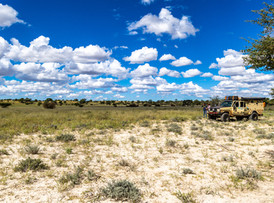 BOSLUIS 2 & 4 sleeper | BUSH LAPA OFFROAD CA