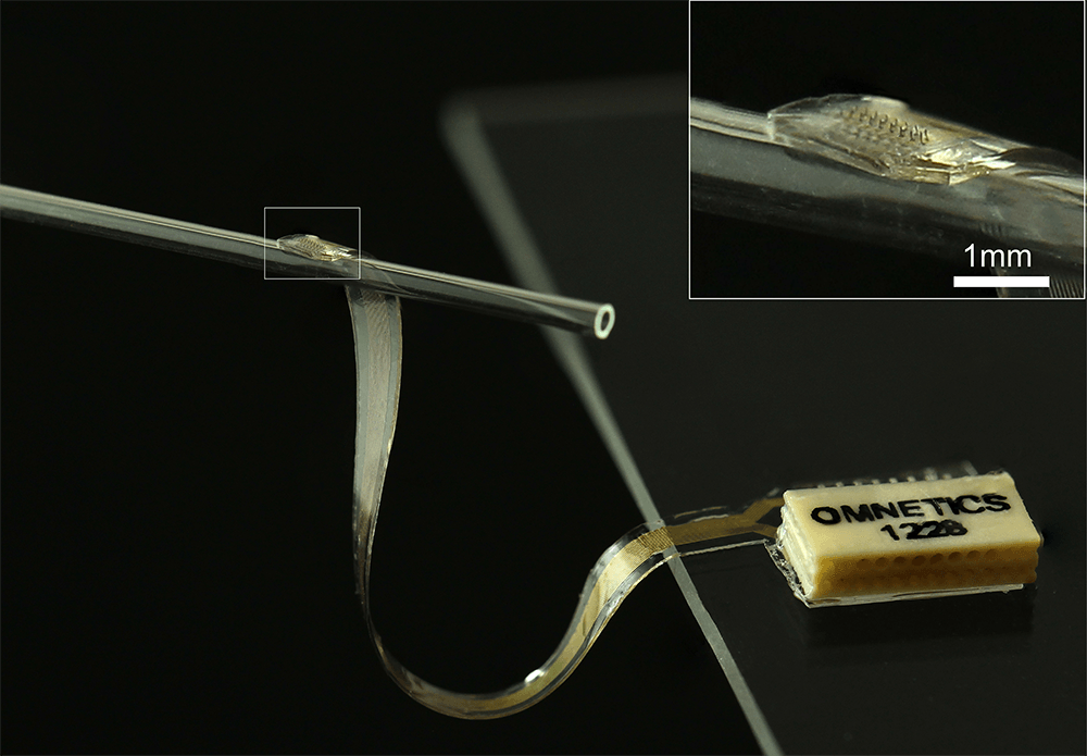 Translational Biomimetic Bioelectronics Lab in Houston, Texas