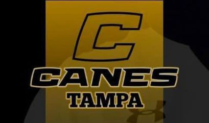 Canes Tampa on Travel and Rec Baseball