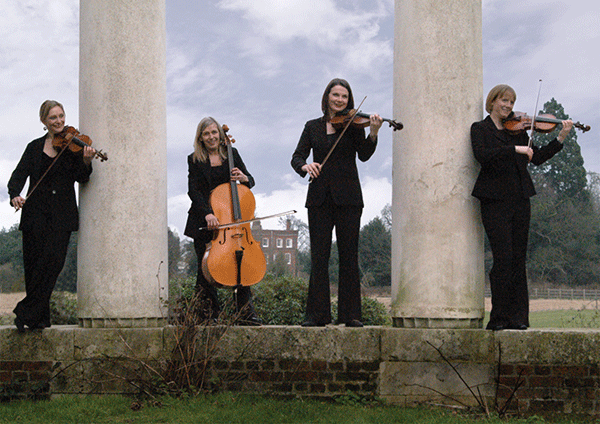 Other Services | pineneedle