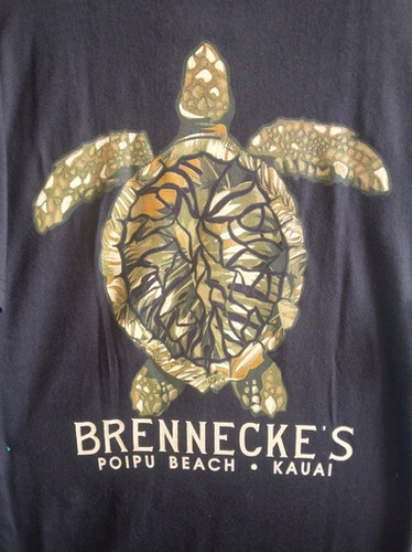 Hawaiian Green Sea Honu | brenneckes-store